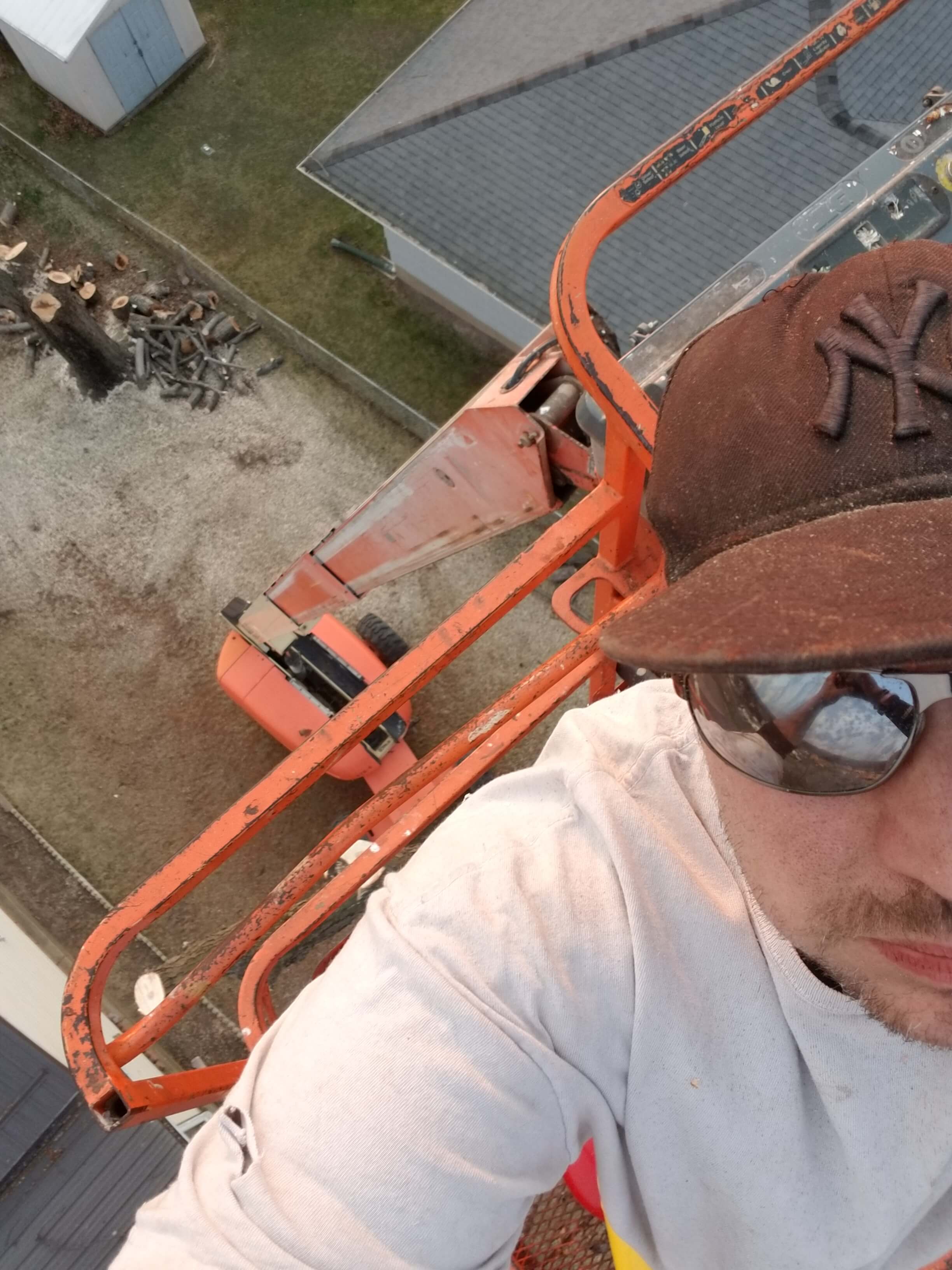 Gallery - Reasonable Tree Experts