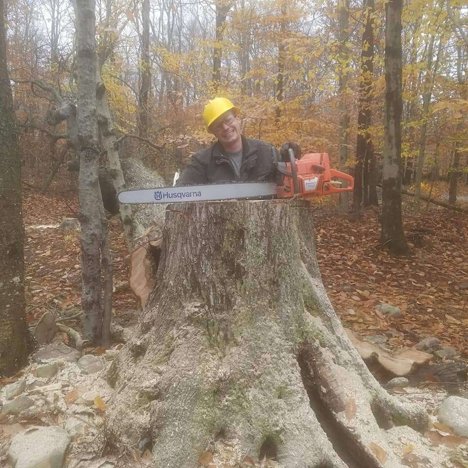 Gallery - Reasonable Tree Experts