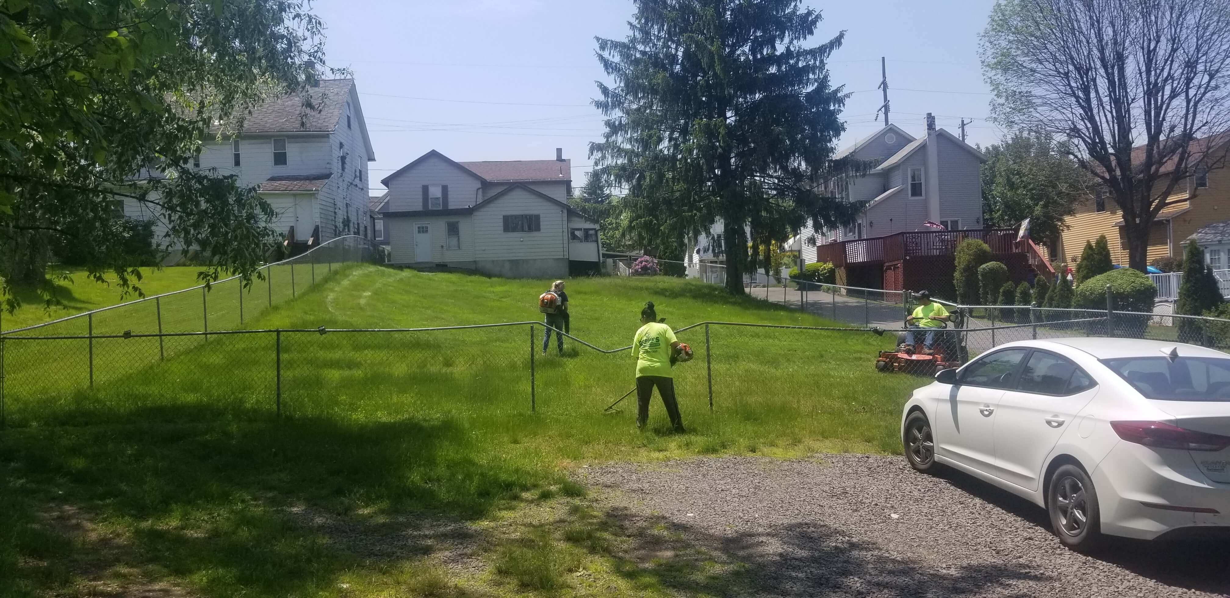 Gallery - Reasonable Tree Experts