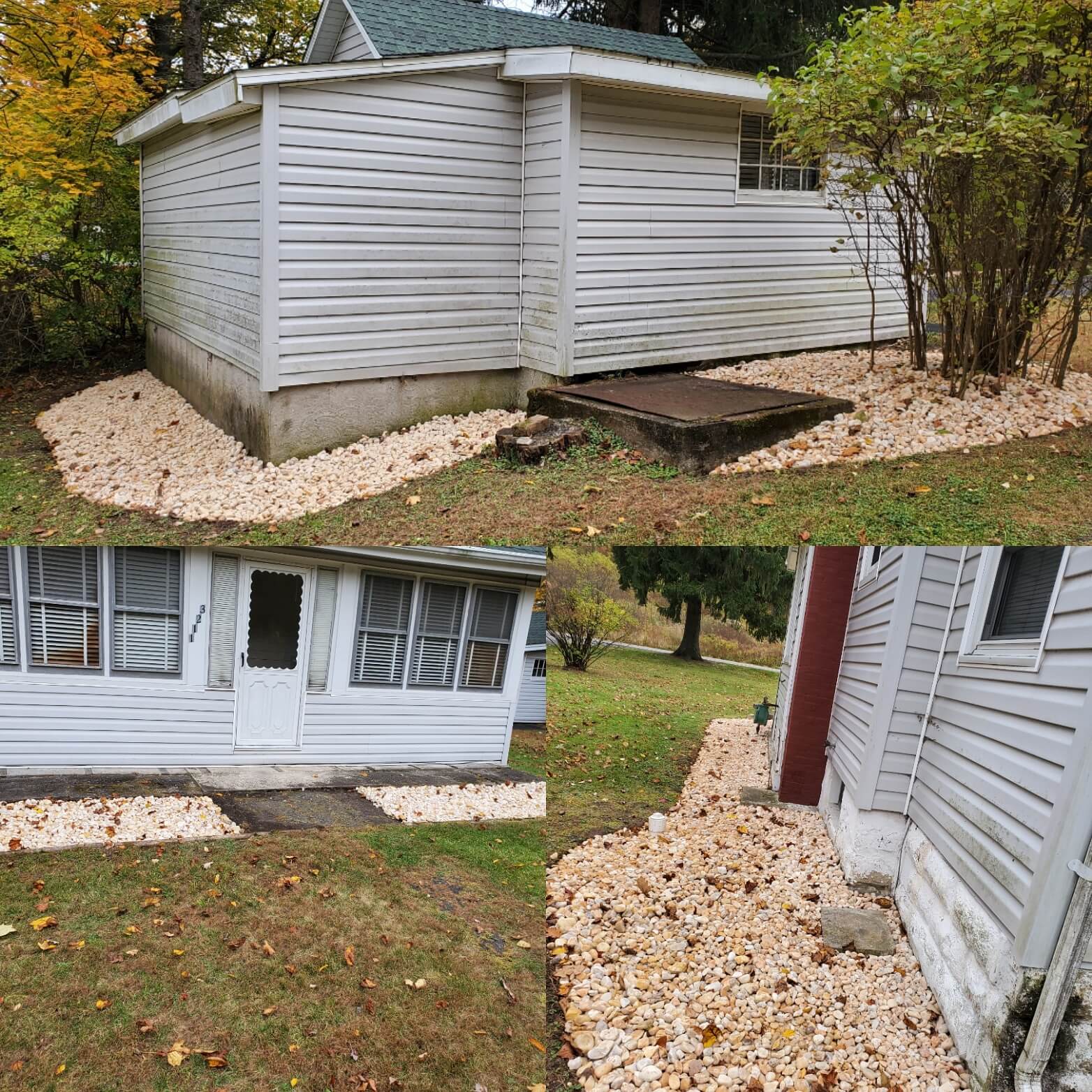 Gallery - Reasonable Tree Experts